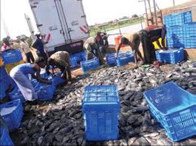 Local fish inspection unit